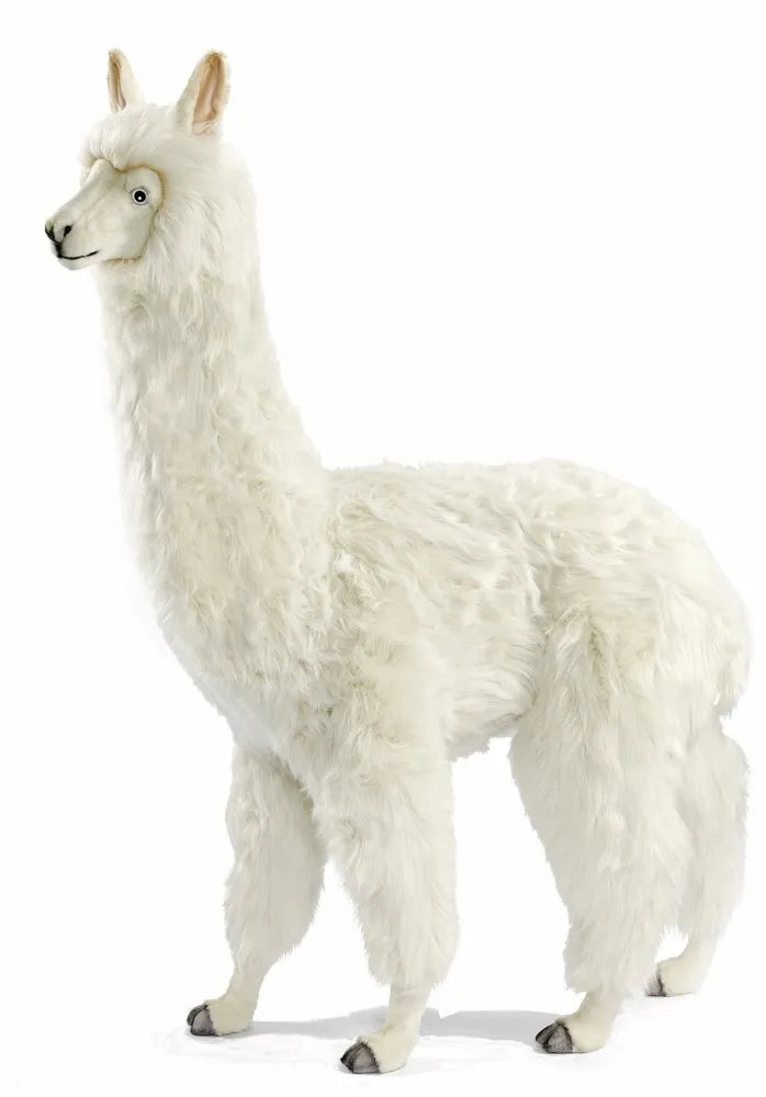 Animatronics Alpaca - 65in Tall – Universal Statues LLC